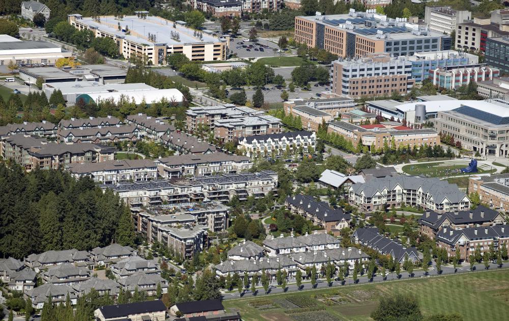 Who is Joybubbles? (with picture)