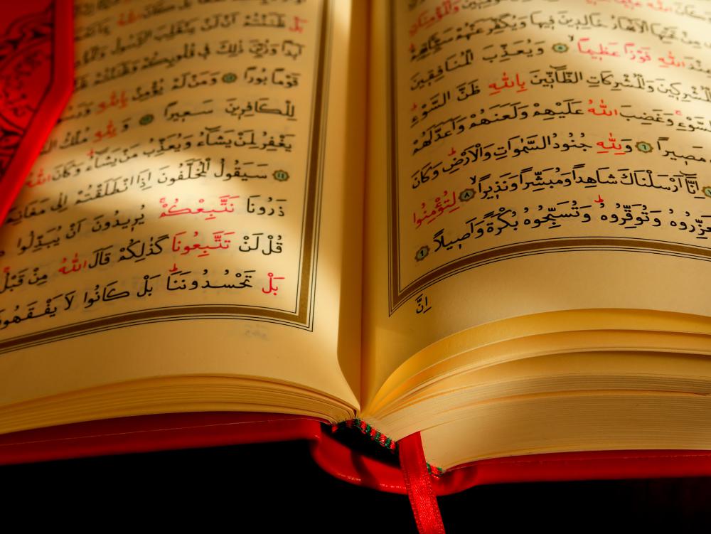 What are the Differences Between the Sunni and Shia Sects of Islam?