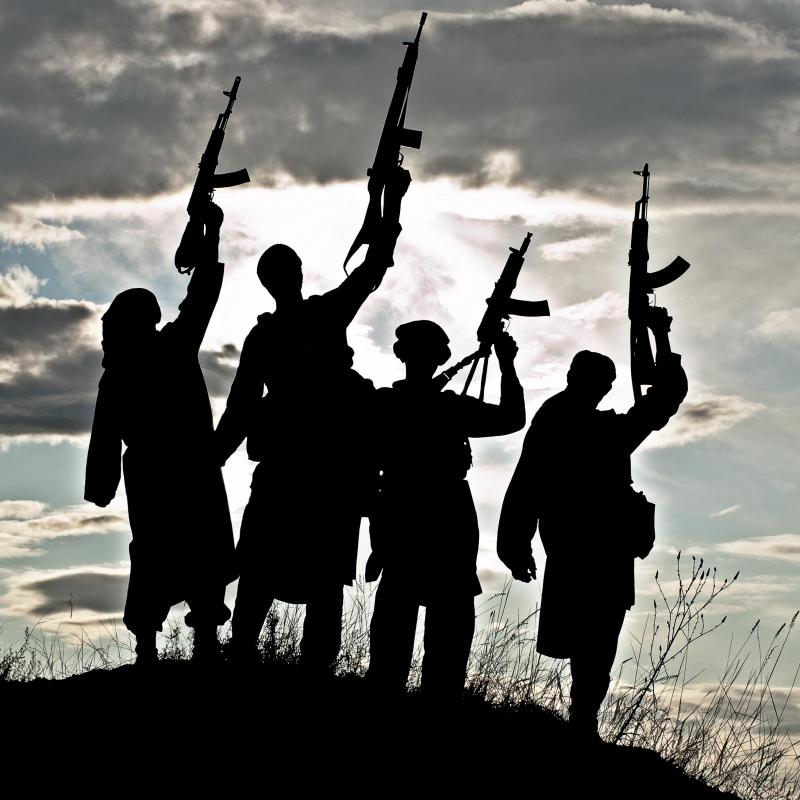 What is an Insurgent? (with pictures)