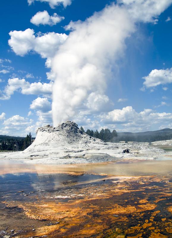 Who is Ulysses S. Grant? (with pictures)